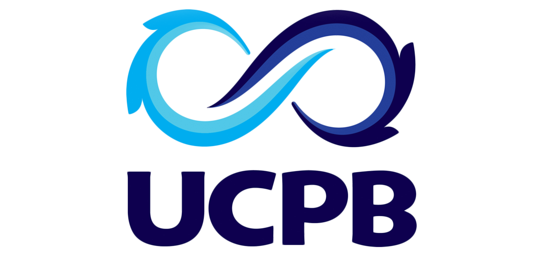 CASURECO II - Bill Inquiry